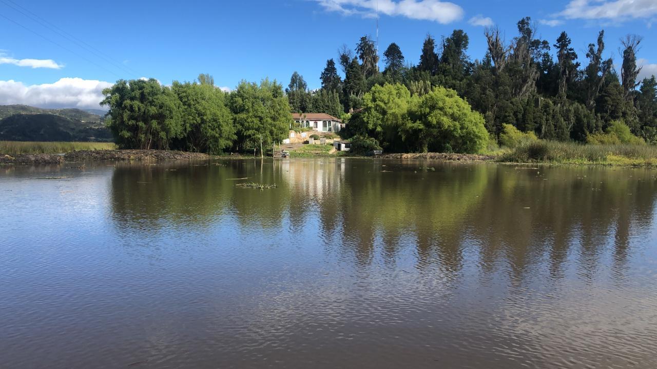 Isla El Santuario, joya de la laguna de Fúquene, será Aula Ambiental y ...